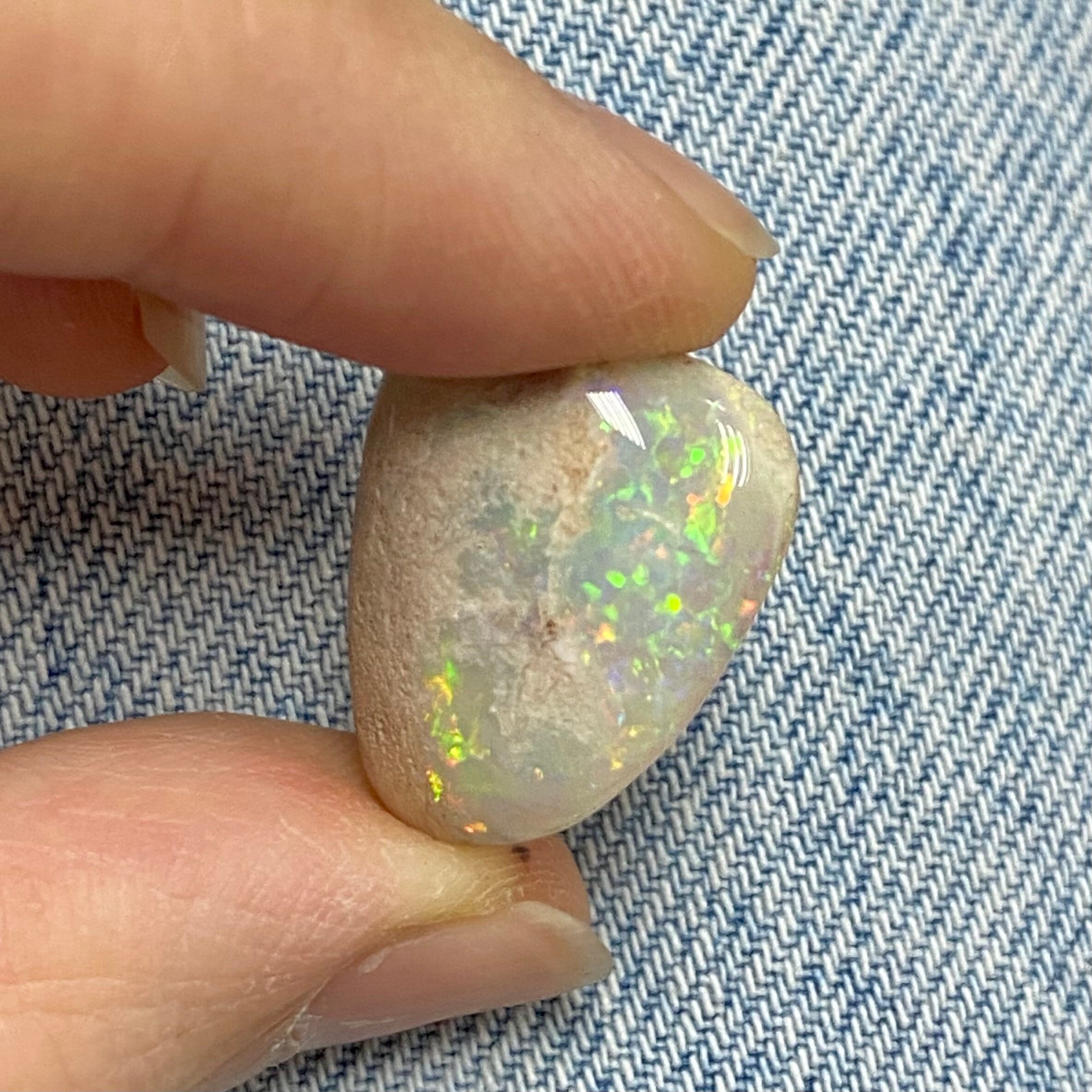 Opalised Fossil Shells for Selection, Australian Opal Gem Shells ...