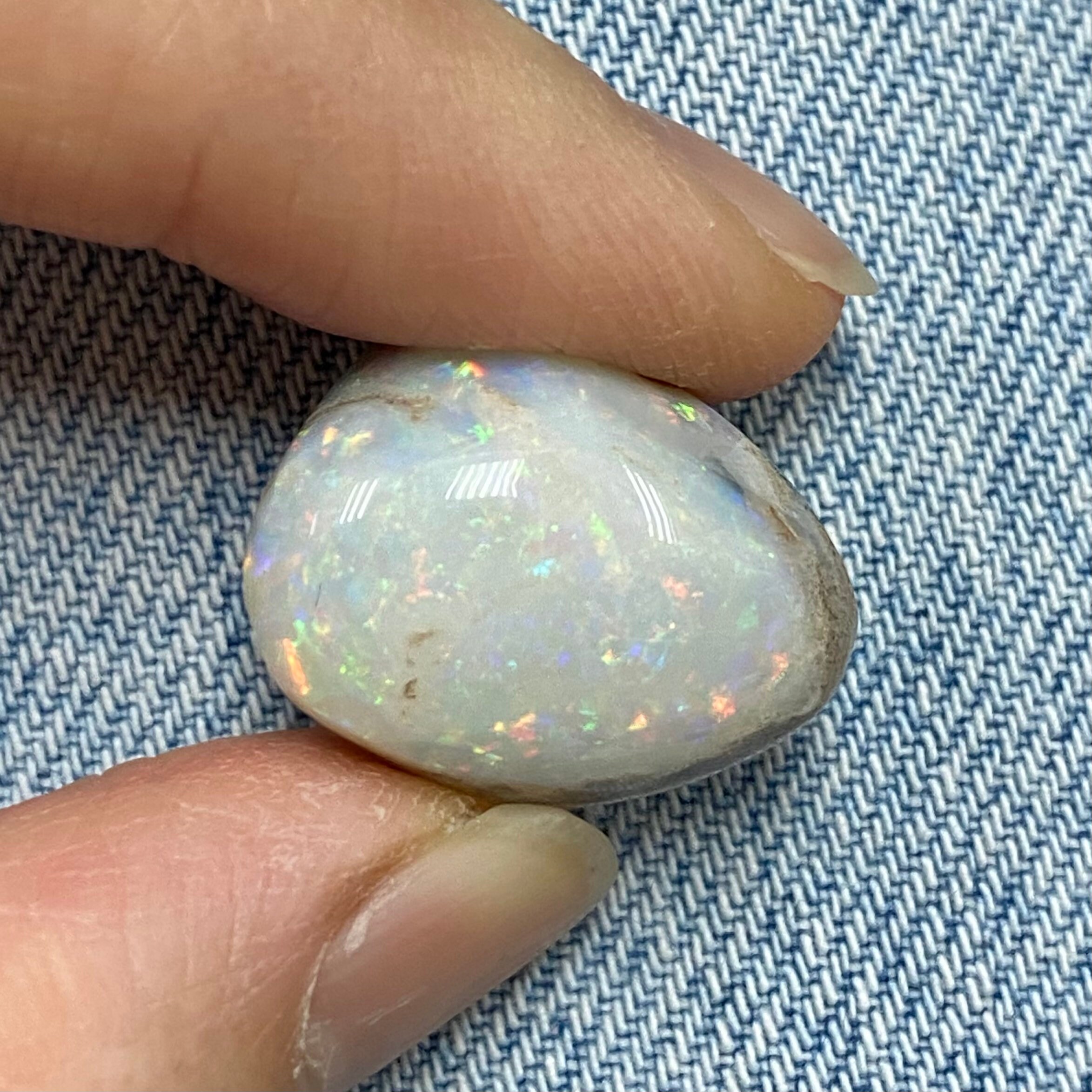 Opalised Fossil Shells for Selection, Australian Opal Gem Shells ...