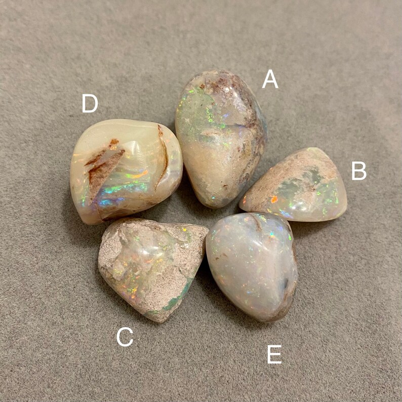 Opalised Fossil Shells for Selection, Australian Opal Gem Shells ...