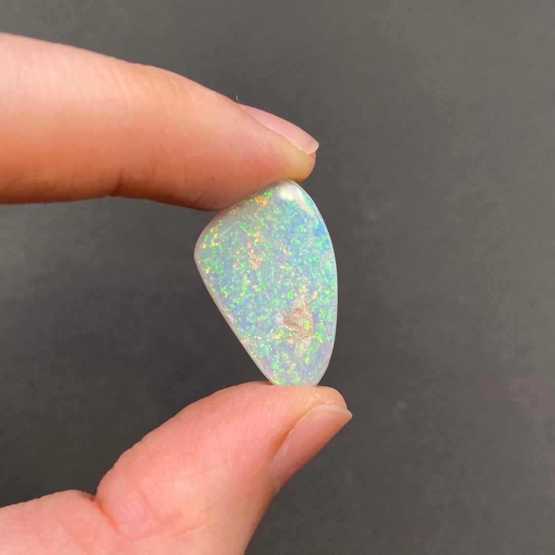 Natural Australian Opalised Fossil Shell White Solid Opal - Etsy