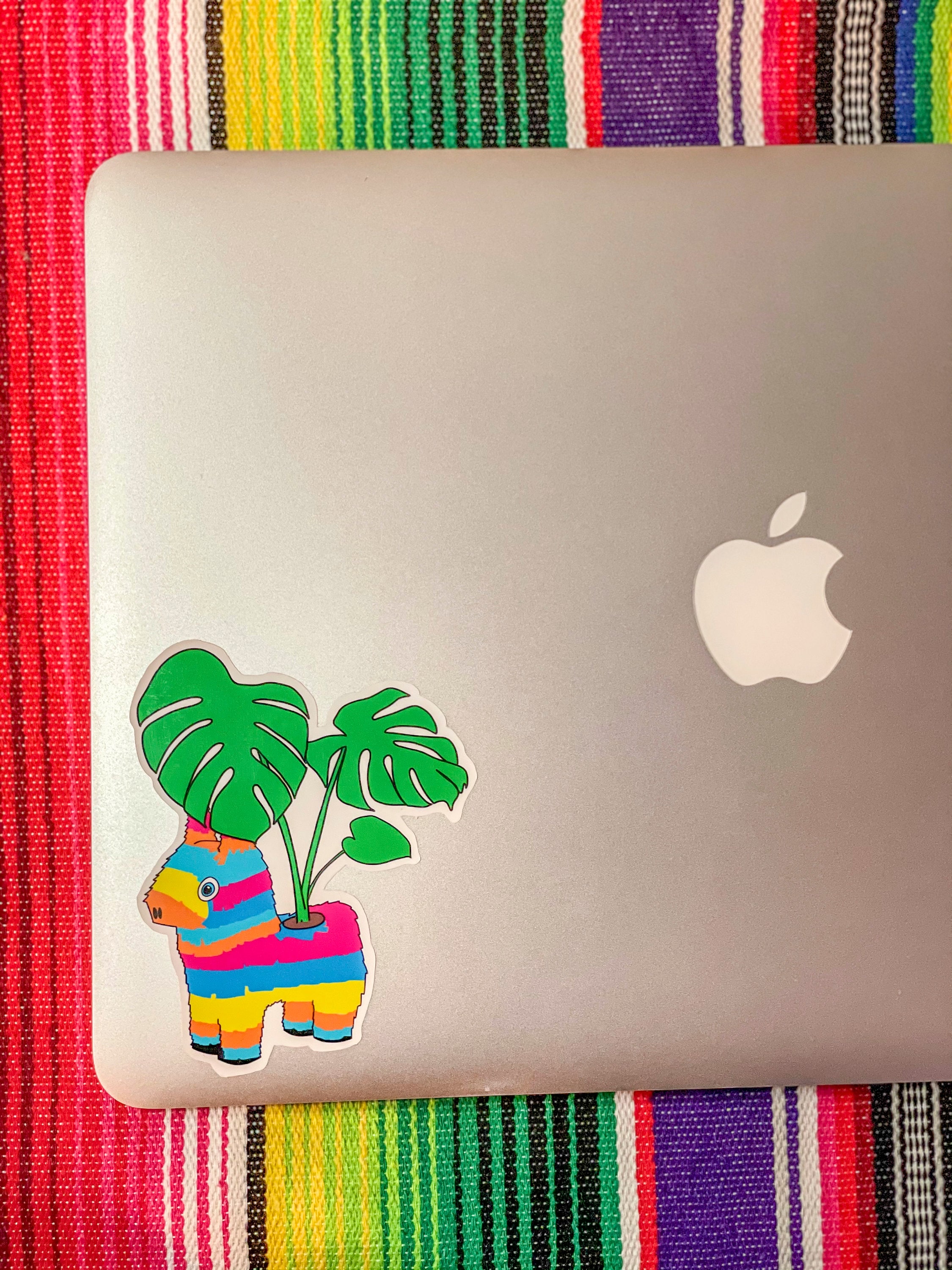 Monstera Deliciosa in Piñata Planter - Etsy UK