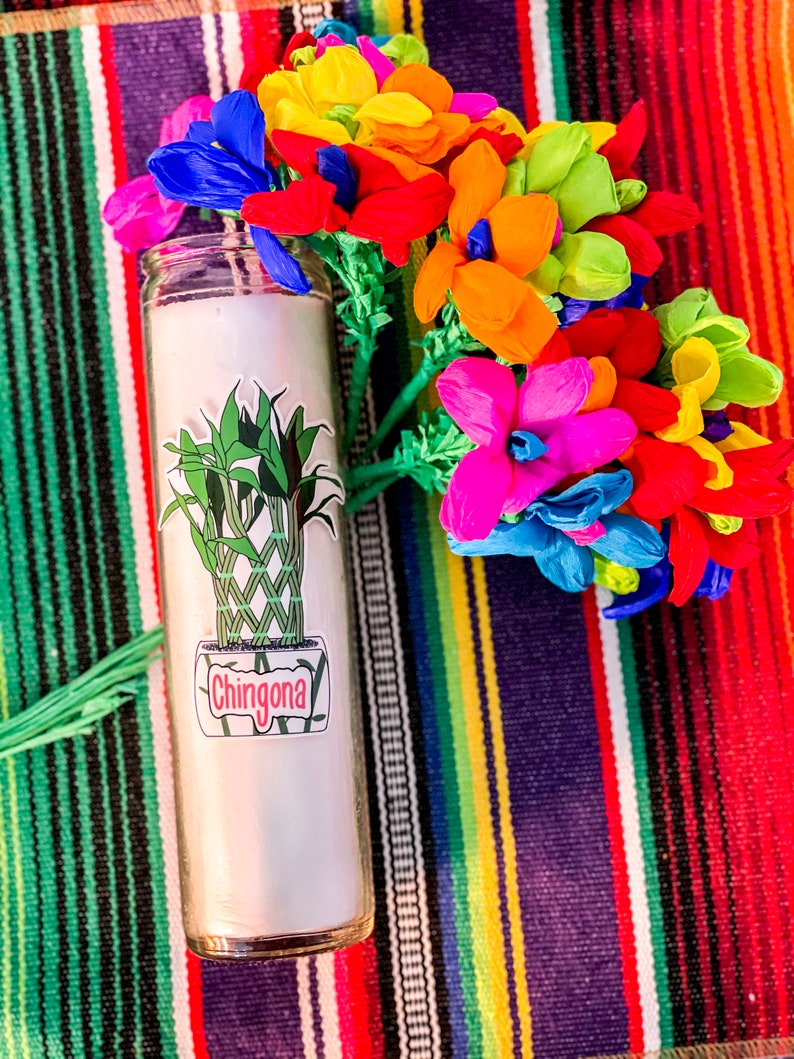 Lucky Bamboo Plant in Chingona Planter - Etsy