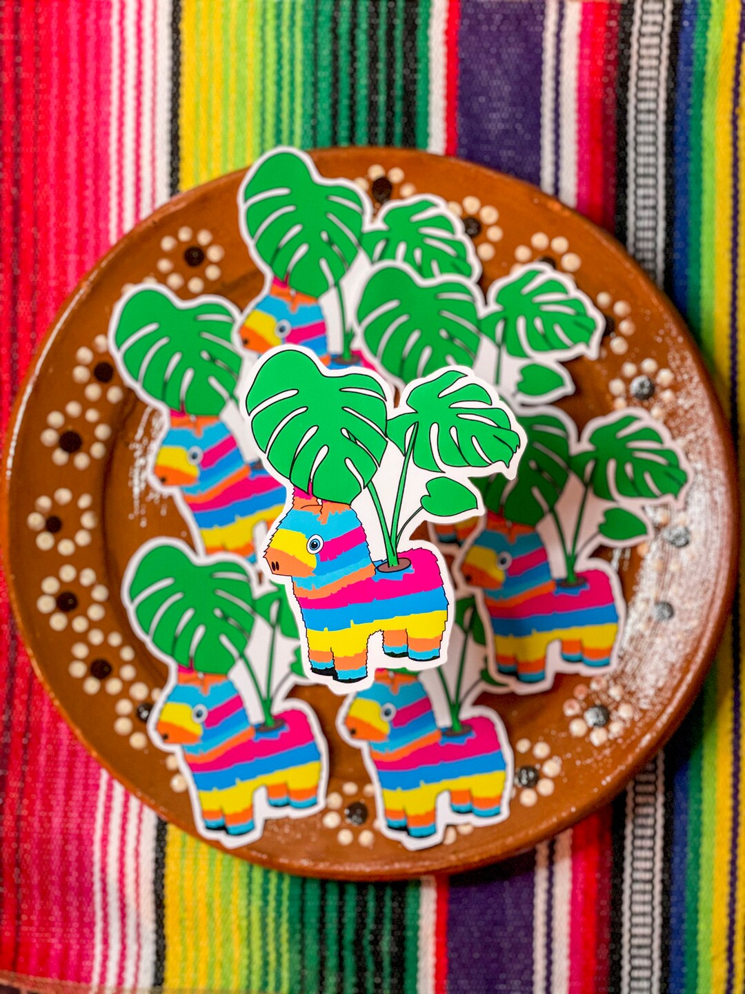 Monstera Deliciosa in Piñata Planter - Etsy