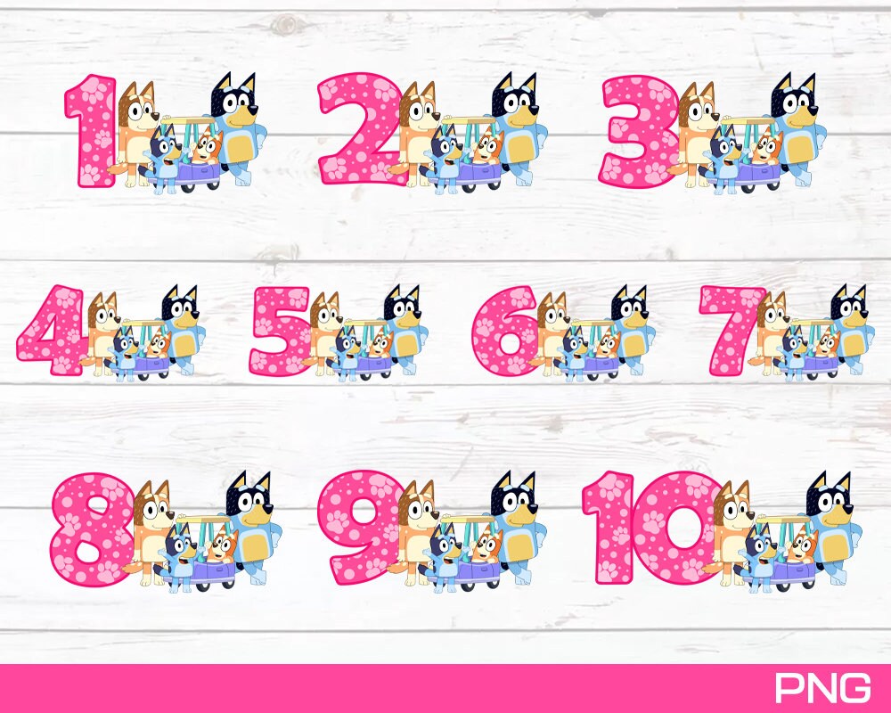 Birthday girl Bluey png Bluey kids png Bluey PNG Bluey | Etsy
