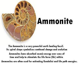 Tree of Life Ammonite Fossil Gemstone Pendant Copper Wire Wrapped ...