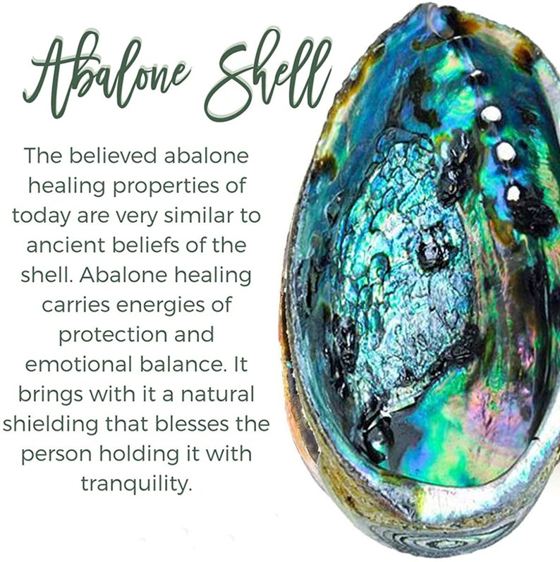 Abalone Shell Pendant, Natural Abalone Shell Copper Wire Wrapped ...