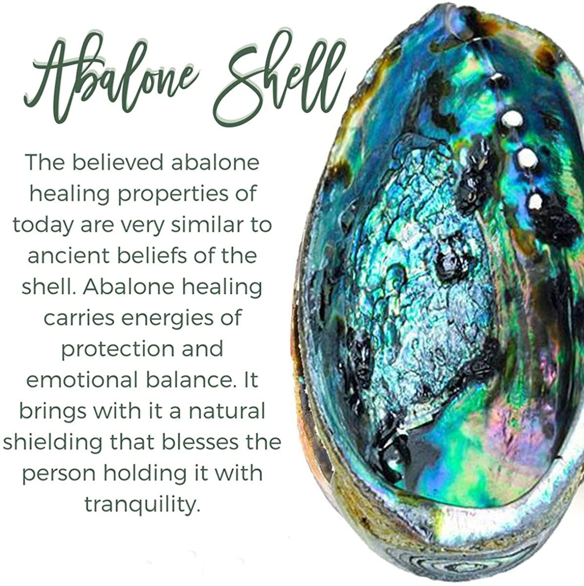 Abalone Shell Pendant, Copper Wire Wrapped Pendant, Natural Abalone ...