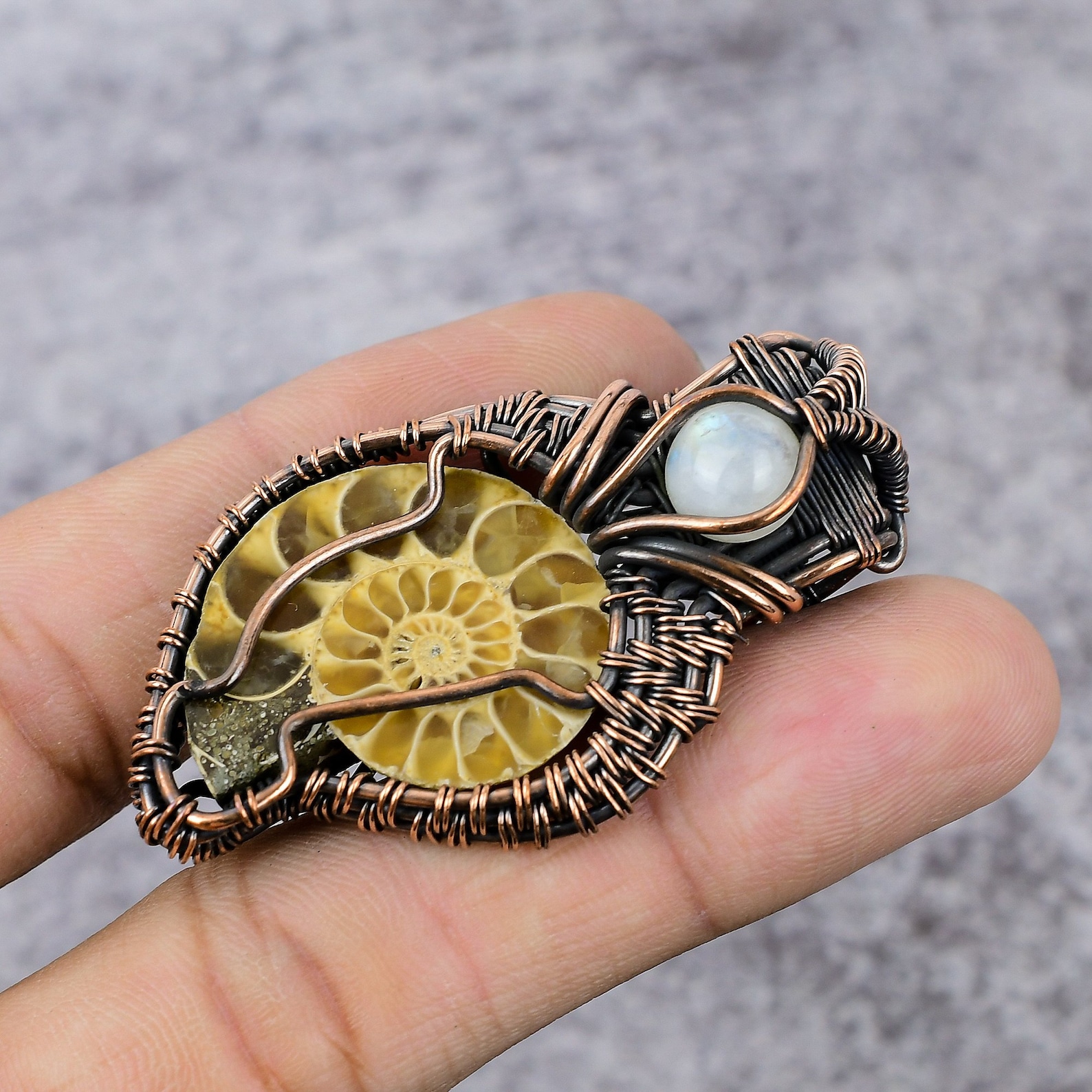 Ammonite Fossil Pendant Copper Wire Wrapped Pendant Gemstone - Etsy