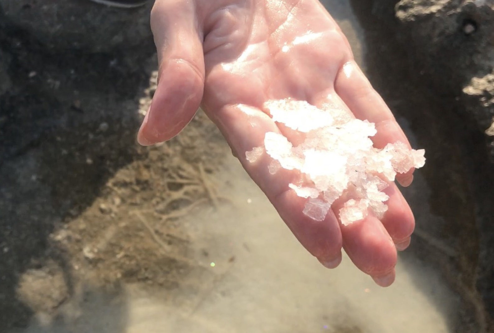 Natural Sea Salt Greek Handpicked Large Flakes Organic Raw Crystal Salt ...