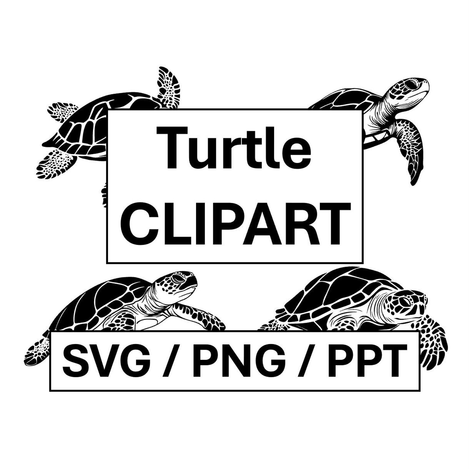 Turtle PNG, Turtle SVG, Sea Turtle Svg, Ocean Clipart Bundle, Ocean ...