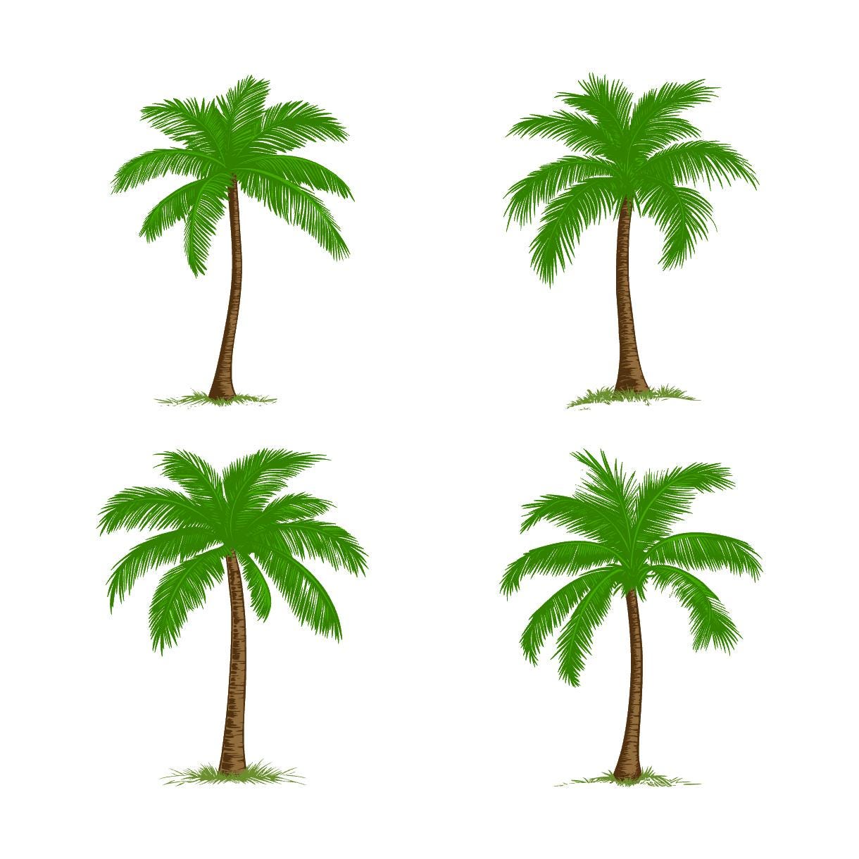 Palm Tree Clipart, Bundle, Coconut Tree – PNG, SVG, and Powerpoint ...