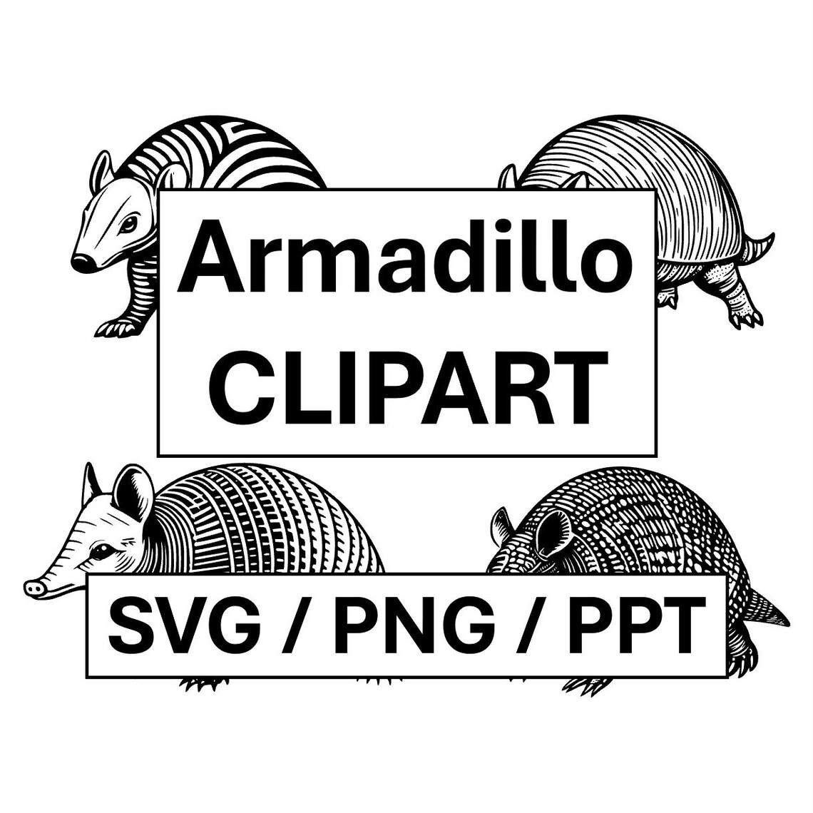 Armadillo Clipart, Armadillo Silhouette, Armadillo SVG, PNG, SVG ...