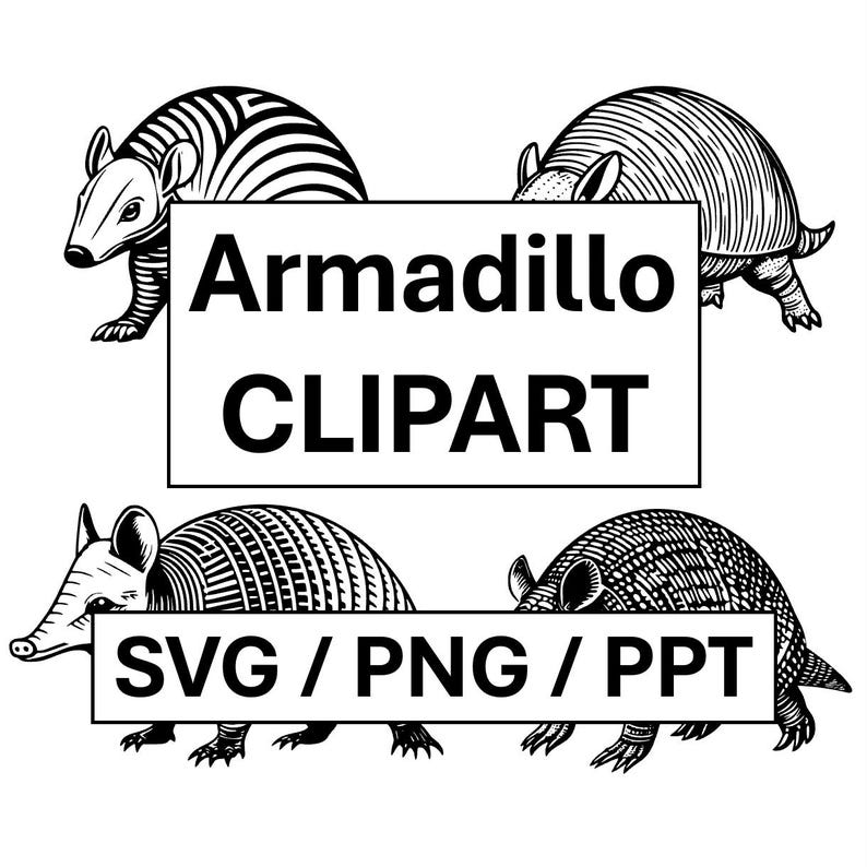 Armadillo Clipart, Armadillo Silhouette, Armadillo SVG, PNG, SVG, Powerpoint, Vector, Graphics ...