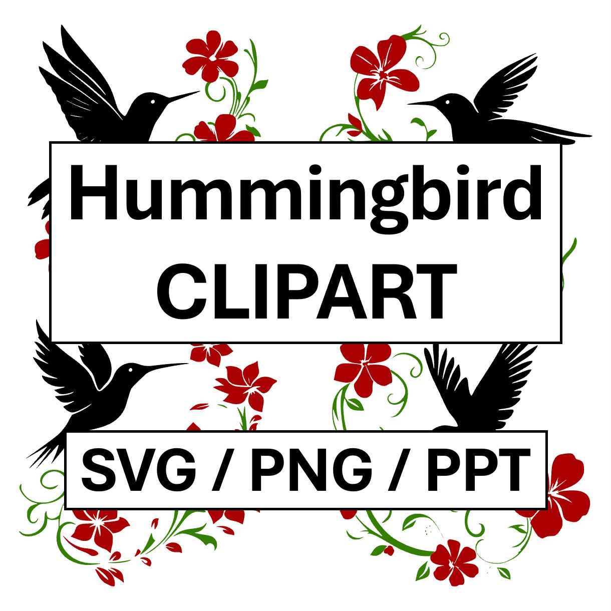 Hummingbird Clipart Bundle - SVG, Powerpoint, and PNG Files, Editable ...