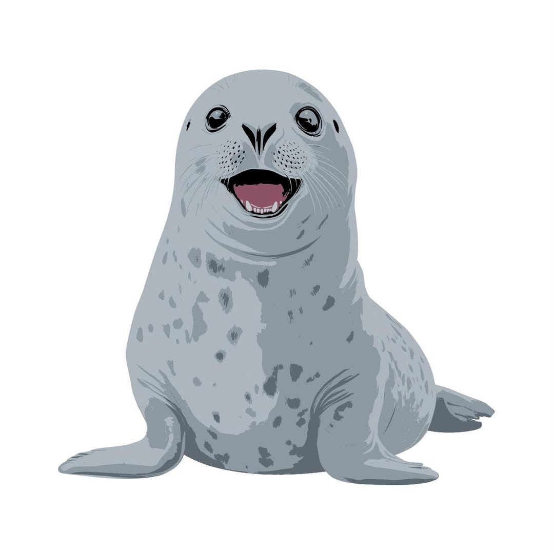Seal Clipart, Animal, Cute Seal Clipart, Meme, Bundle – PNG, SVG, and ...