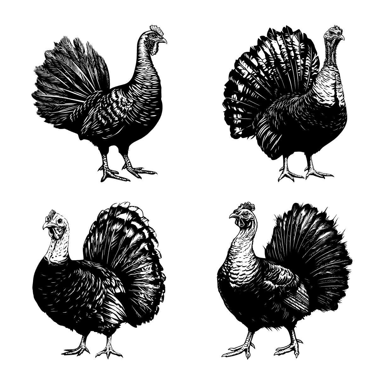 Wild Turkey Clip Art, SVG, PNG, Powerpoint, Vector Graphic, Digital ...