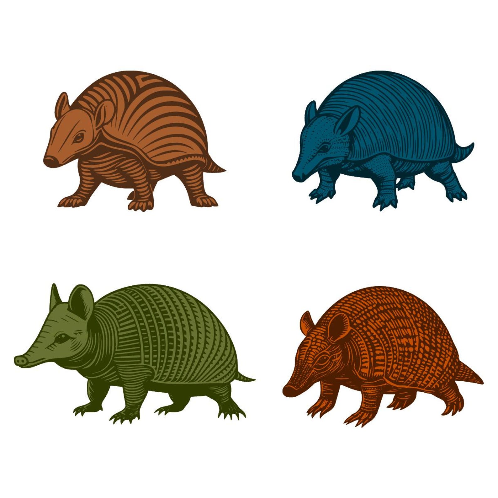Armadillo Clipart, Armadillo Silhouette, Armadillo SVG, PNG, SVG ...