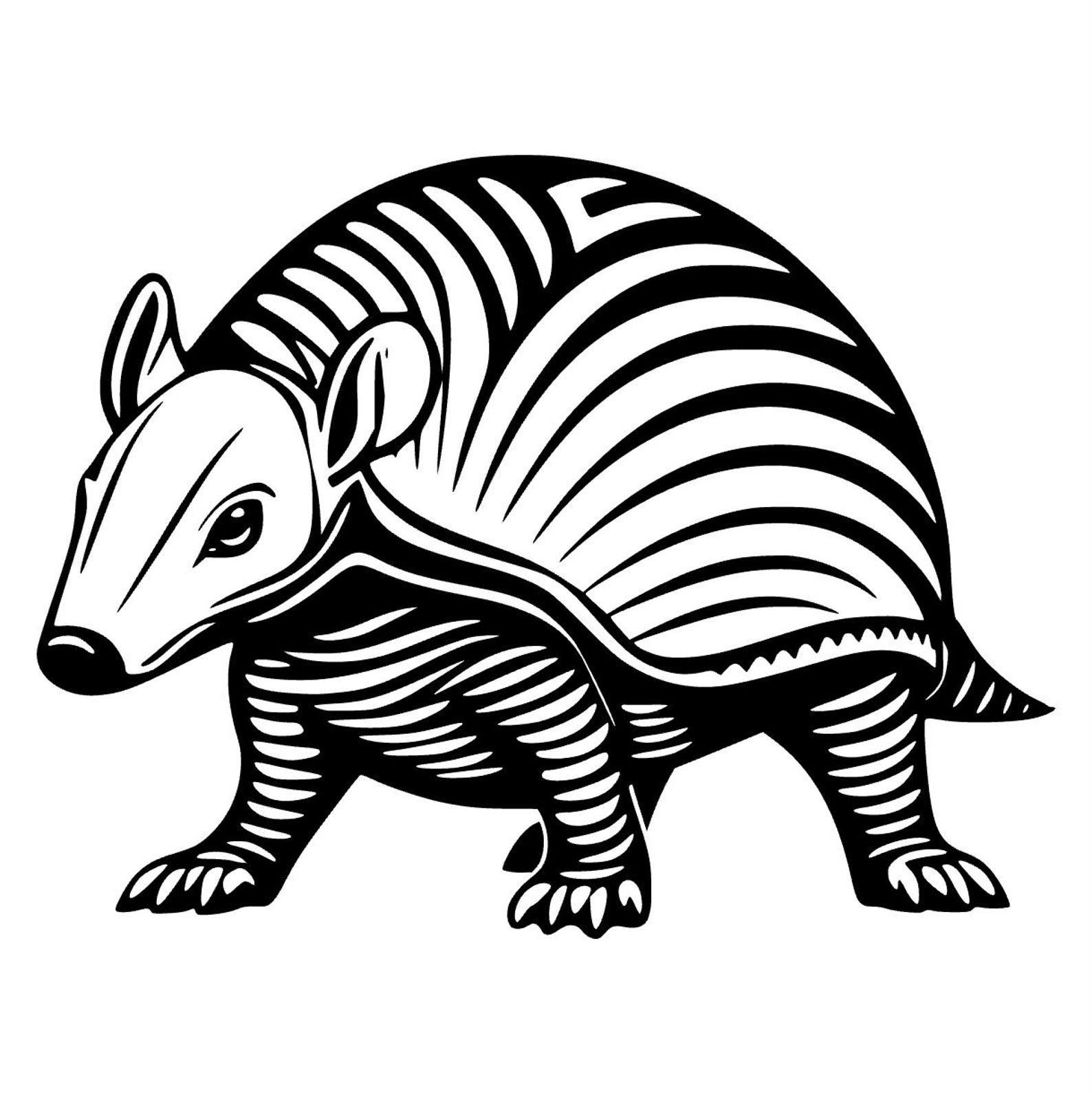 Armadillo Clipart, Armadillo Silhouette, Armadillo SVG, PNG, SVG ...