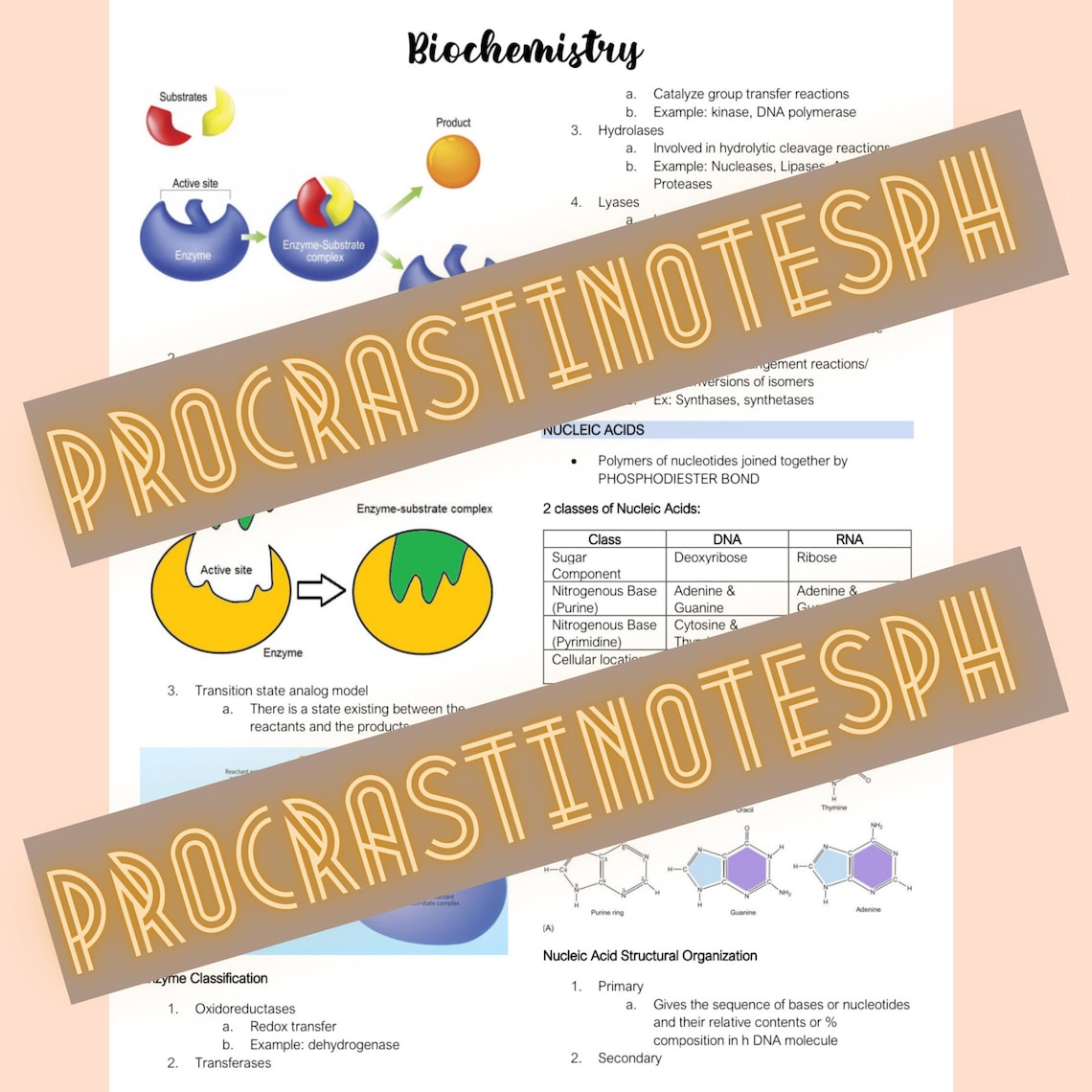 Study Guide: BIOCHEMISTRY NOTES Cheat Sheet | Etsy