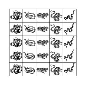 Snake Trivia Game Digital Download pdf-anskwer Keysnake Cards printable ...