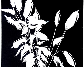 Agapanthus Flowers Linoprint. Hand-pulled Botanical Print on - Etsy ...