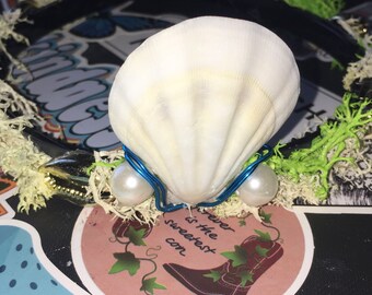 Mermaid Scallop - Etsy