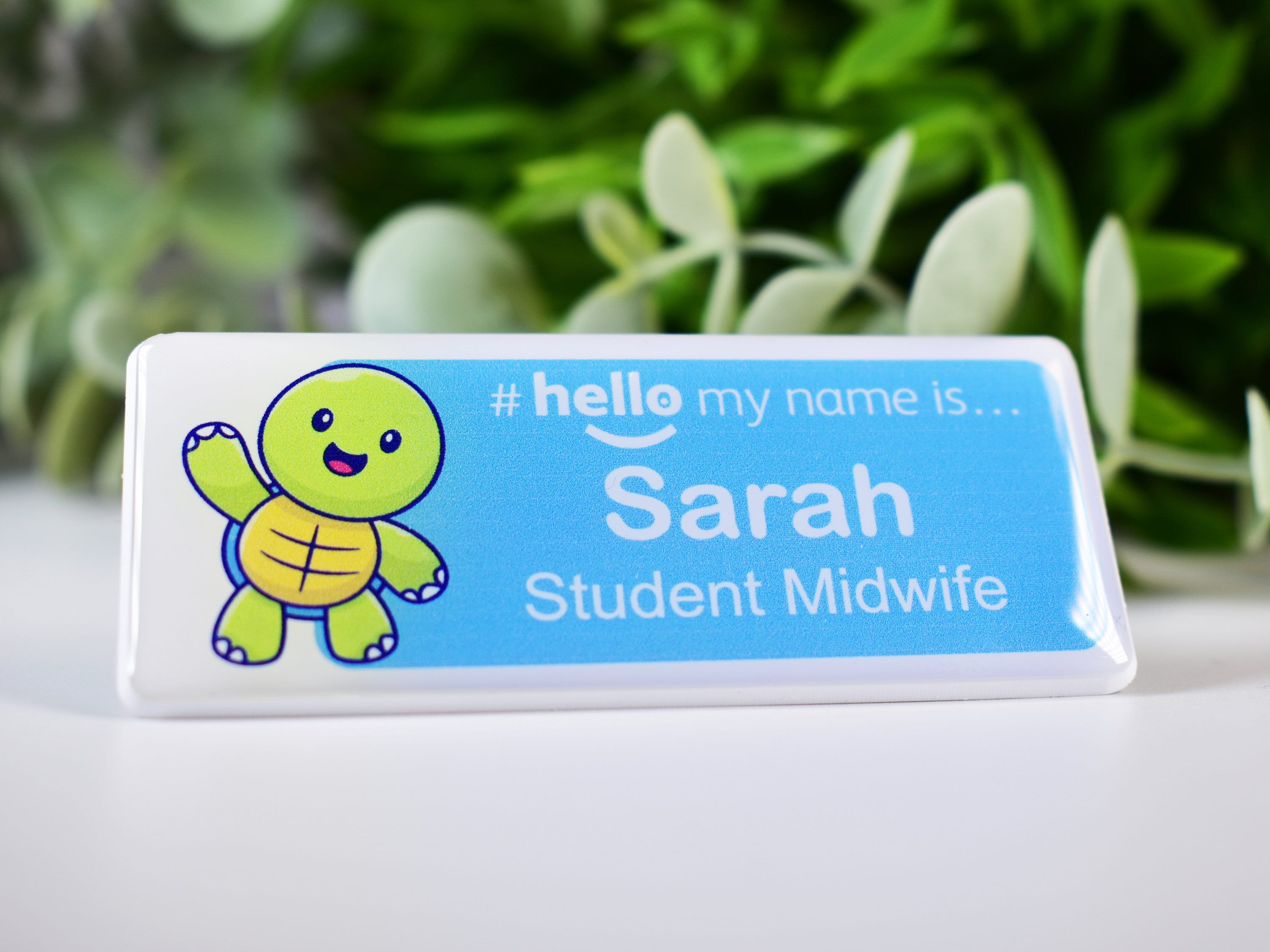 Resin Finish Hello My Name Is... Cute Animal Styles Rainbow Green Pink ...