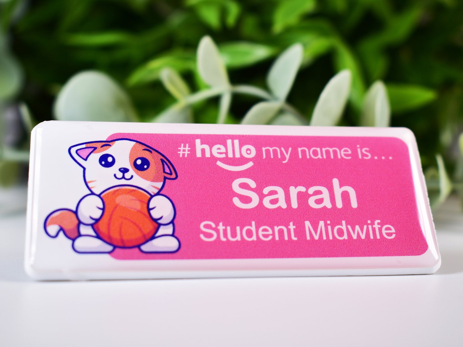 Resin Finish Hello My Name Is... Cute Animal Styles Rainbow Green Pink ...
