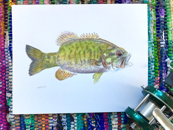 Smallmouth Bass Fish Print From Original Watercolor | Etsy
