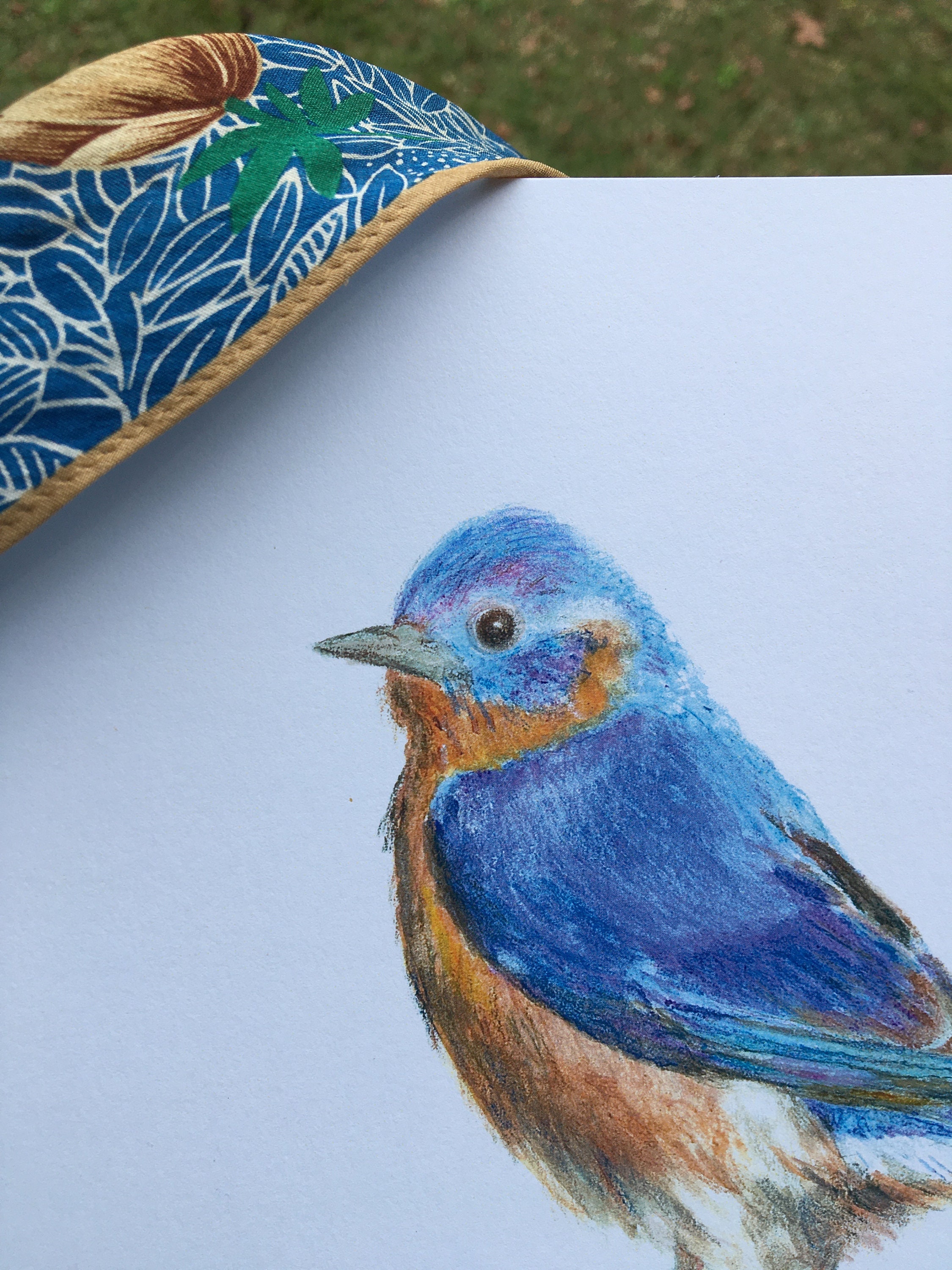 Eastern Bluebird: Hand-embellished Print by Artist From My Original ...