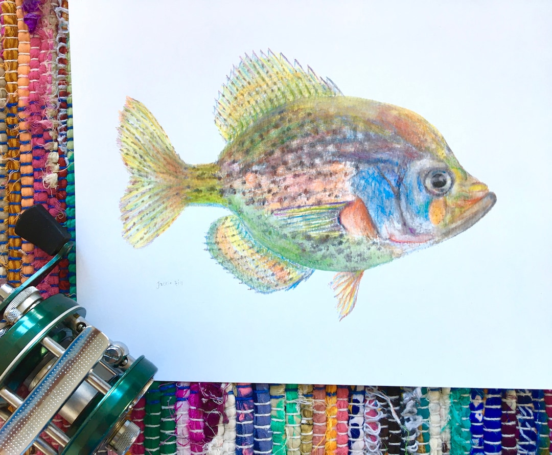 Crappie Fish Print From Original Watercolor, Hand-embellished by Artist ...