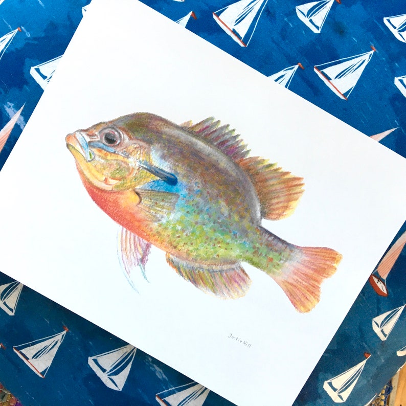Sunfish Print From Original Watercolor, Hand-embellished by Artist ...