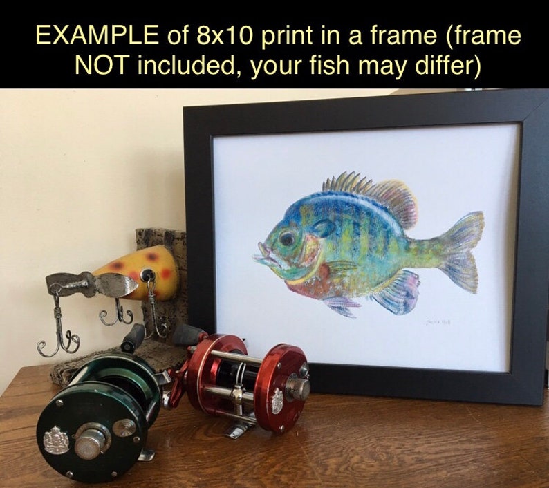 Sunfish Print From Original Watercolor, Hand-embellished by Artist ...