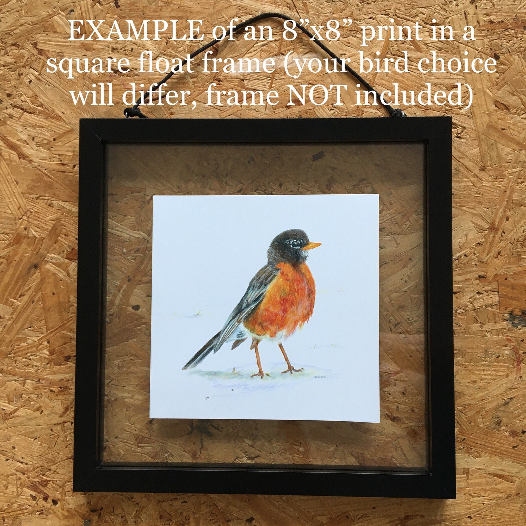 Eastern Bluebird: Hand-embellished Print by Artist From My Original ...