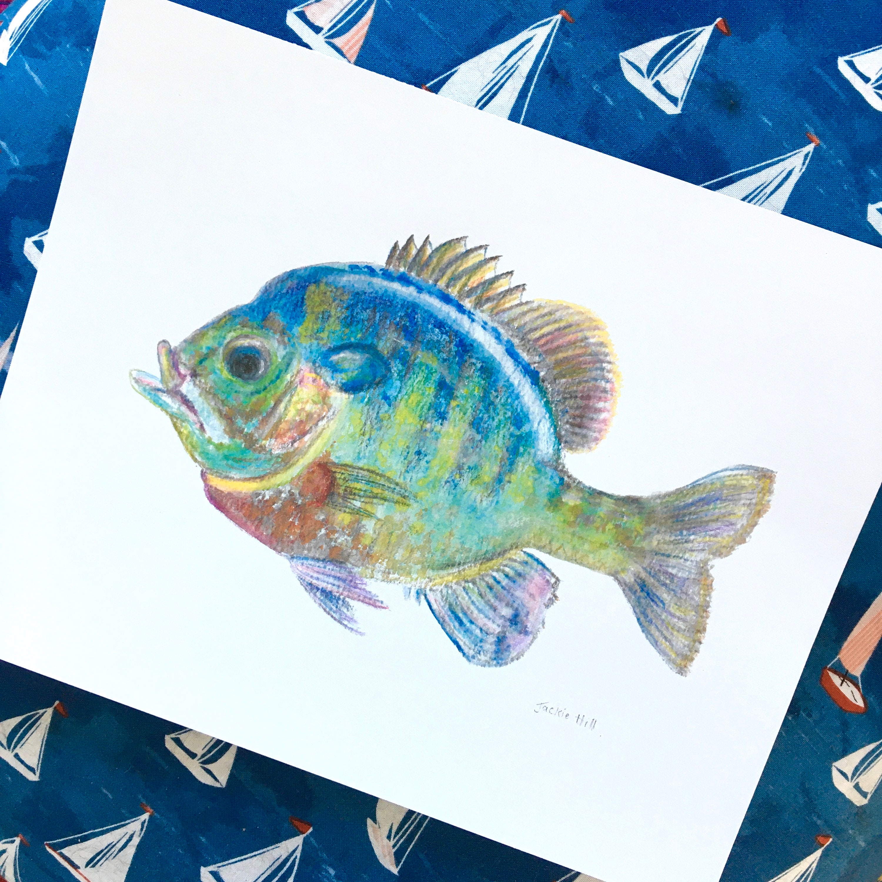 Bluegill Fish Print From Original Watercolor, Hand-embellished by ...