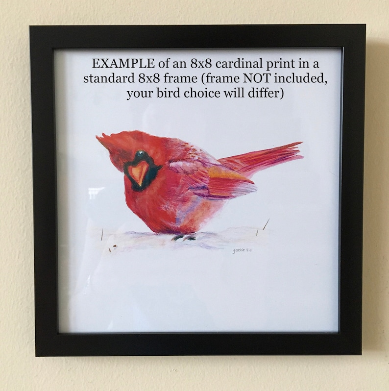 American Robin: Hand-embellished Print by Artist From Original - Etsy