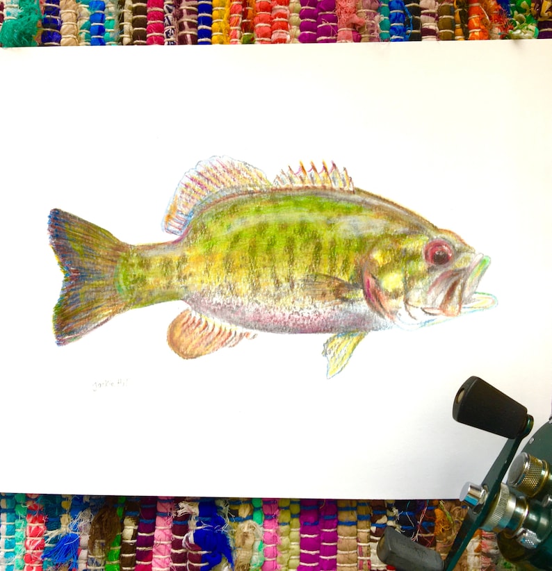 Smallmouth Bass Fish Print From Original Watercolor, Hand-embellished ...