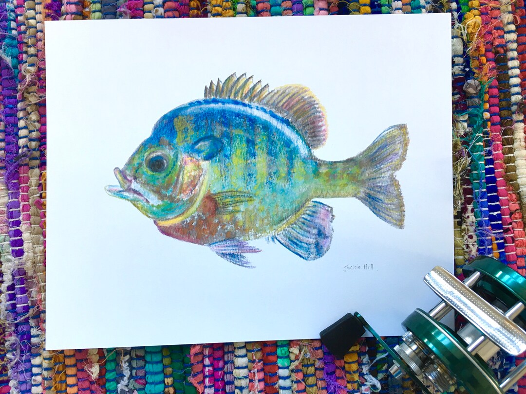 Bluegill Fish Print From Original Watercolor, Hand-embellished by ...
