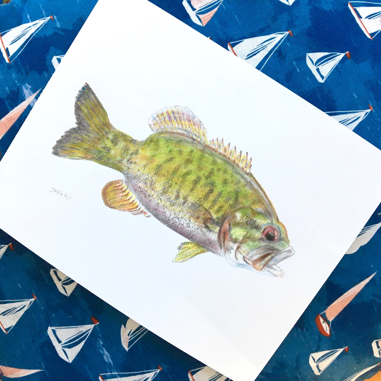 Smallmouth Bass Fish Print From Original Watercolor | Etsy