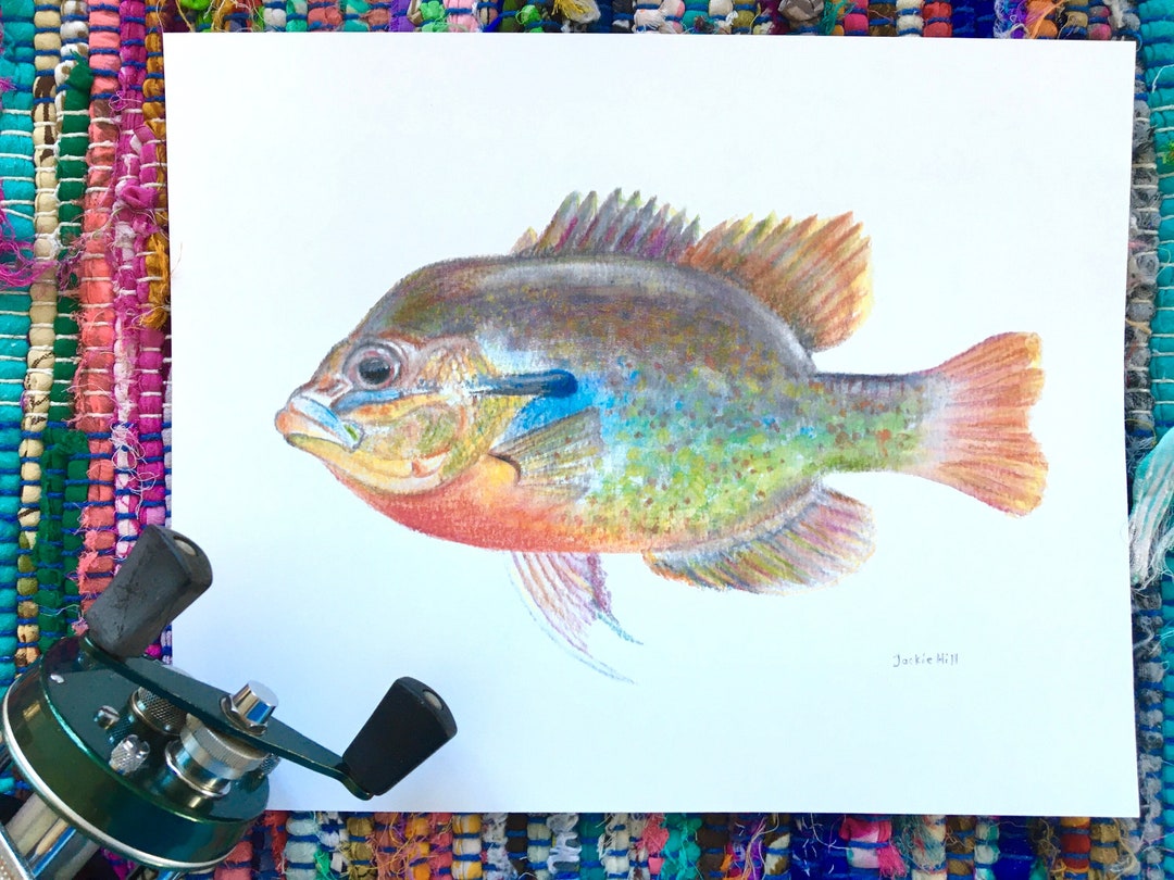 Sunfish Print From Original Watercolor, Hand-embellished by Artist ...