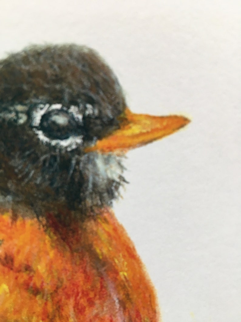 American Robin: Hand-embellished Print by Artist From Original - Etsy