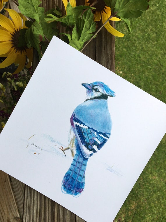 Bluejay Blue Jay: Hand-embellished Print by Artist From - Etsy