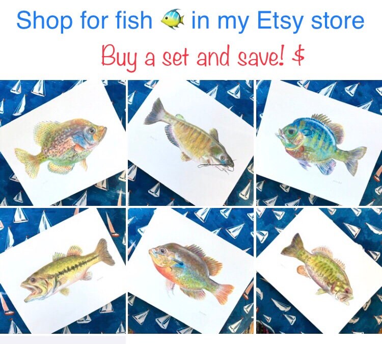 Crappie Fish Print From Original Watercolor, Hand-embellished by Artist ...