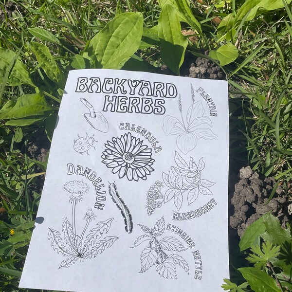 Herb Coloring Page - Etsy