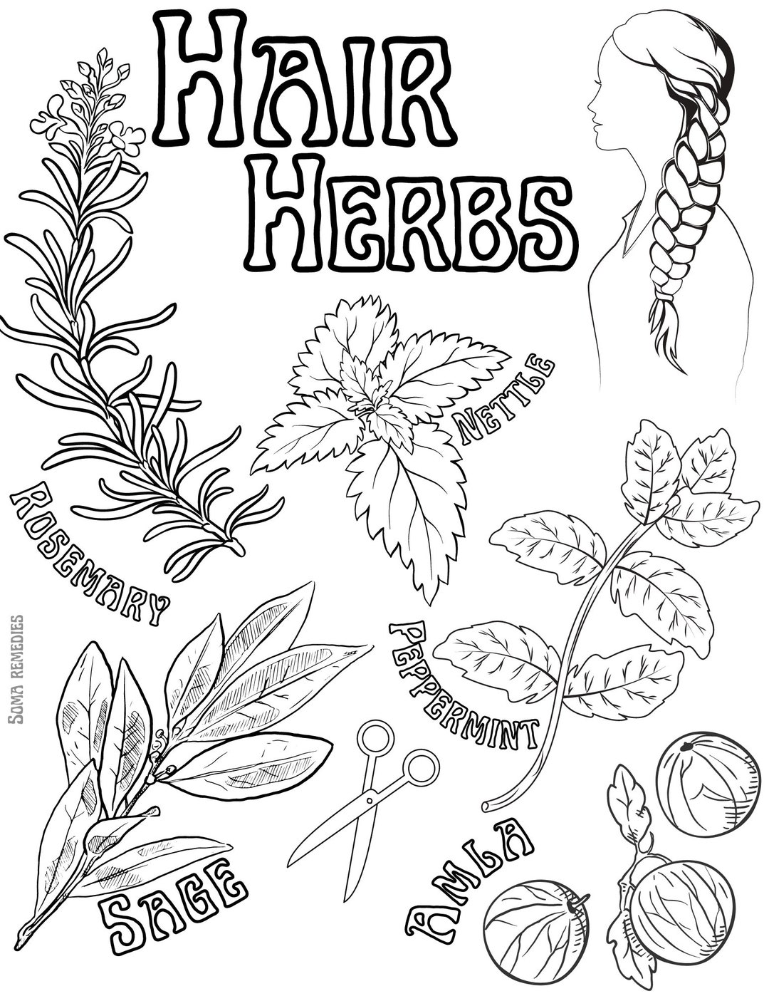 Hair Herbs Coloring Page herbalism & Nature Coloring Pages - Etsy