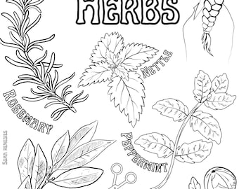 Pollinators Coloring Page Herb & Plant Coloring Page - Etsy