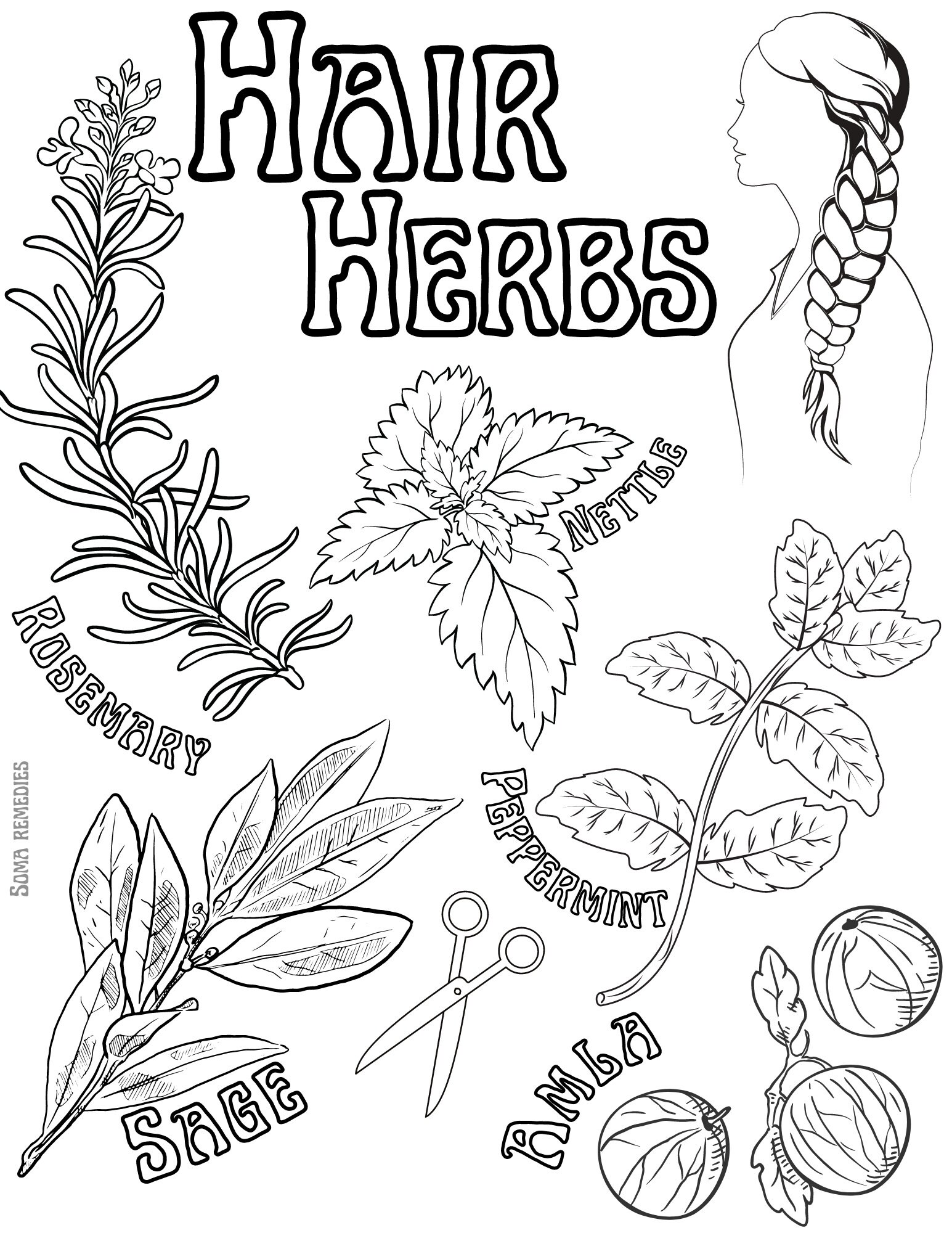 Hair Herbs Coloring Page herbalism & Nature Coloring Pages - Etsy
