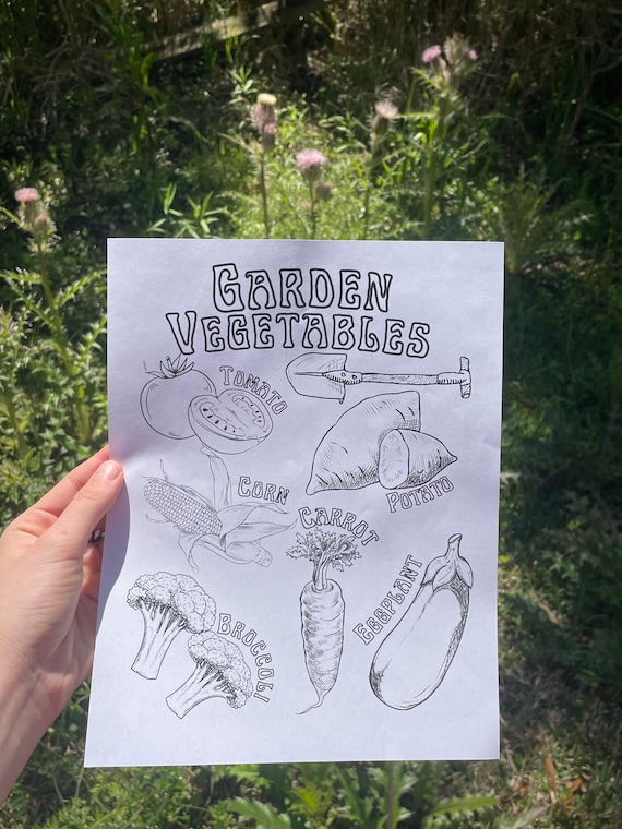 Coloring Pages Of Vegetable Gardens