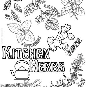 Kitchen Herbs Coloring Page, Herbalism Coloring Pages, Homeschooling ...