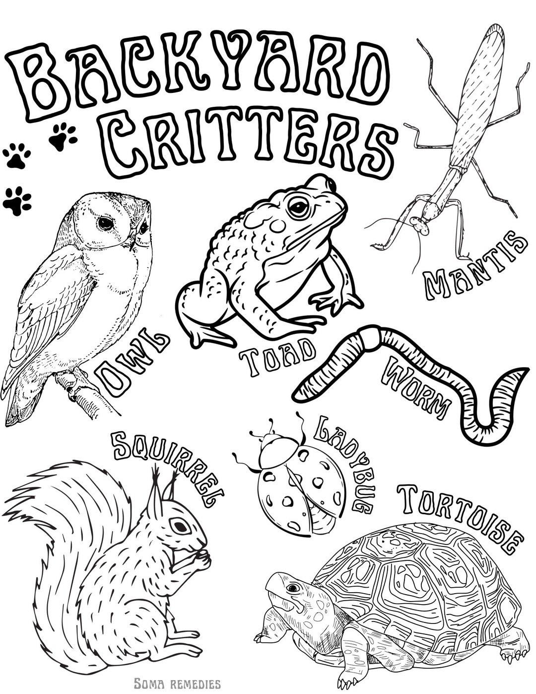 Backyard Critters Coloring Page, Herbalism & Plant Coloring Page ...